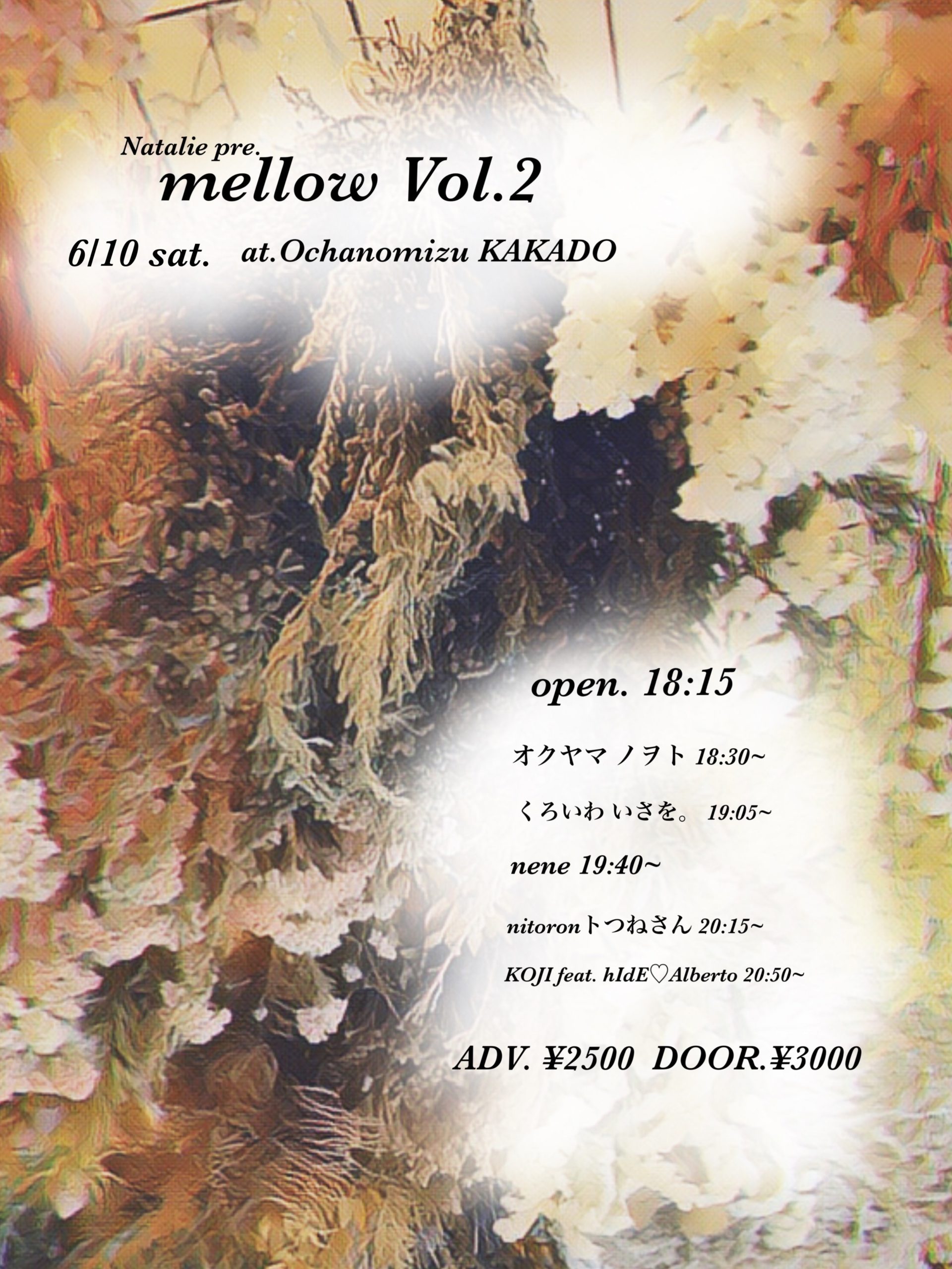 【夜】natalie pre.mellow vol.2 - 御茶ノ水KAKADO─アコースティックライブハウス カカドゥ─